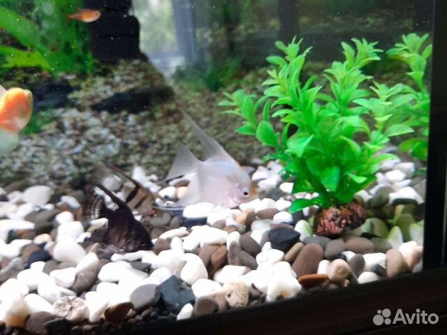 Украшение для аквариума