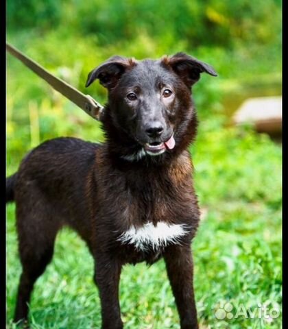 Девочка Любочка ищет дом