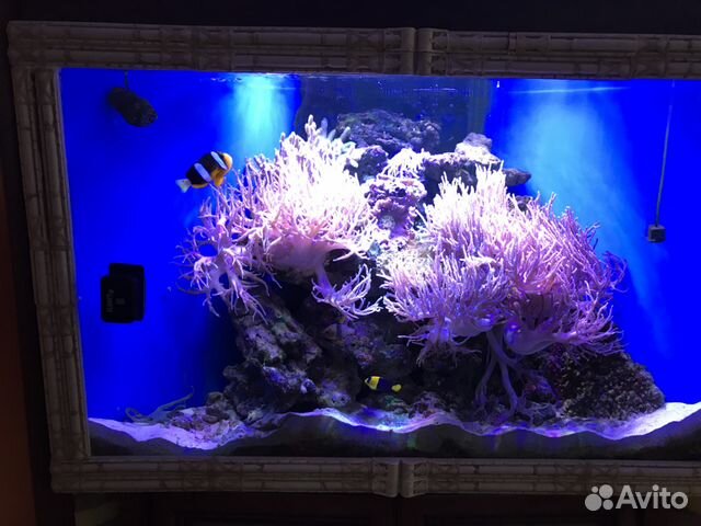 Морской аквариум 350л