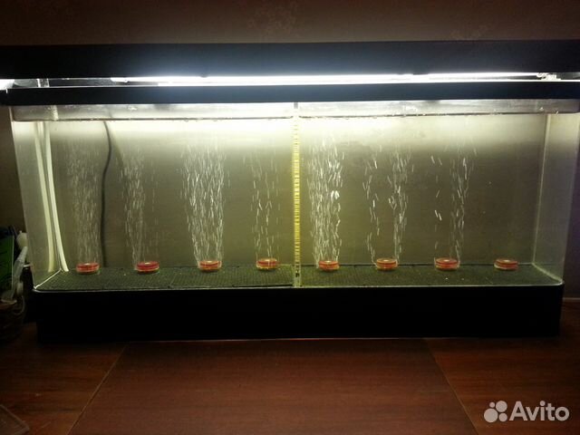 Аквариум ширма