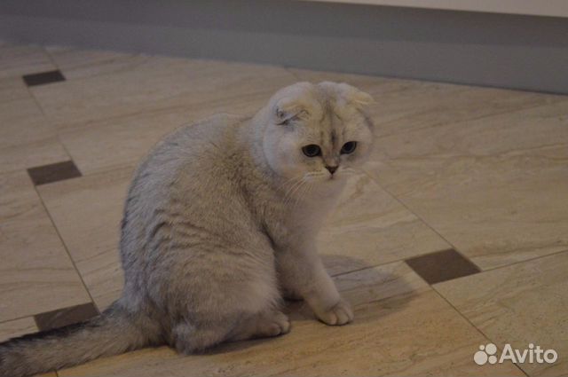 Вязка