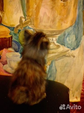 Кошечка трехцветная курилка