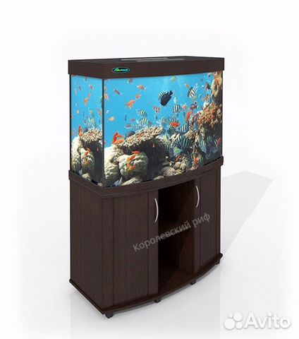 Аквариум 240 литров