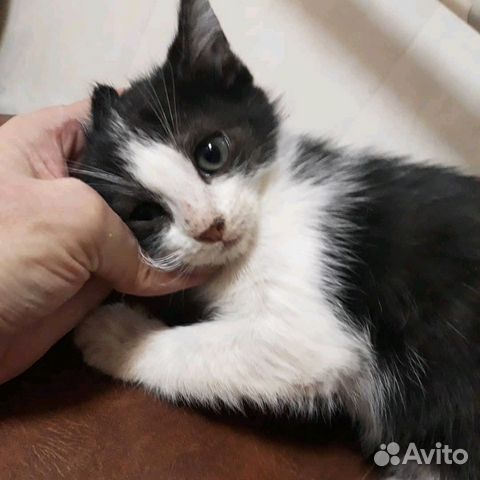 Малышка 1.5 месяца