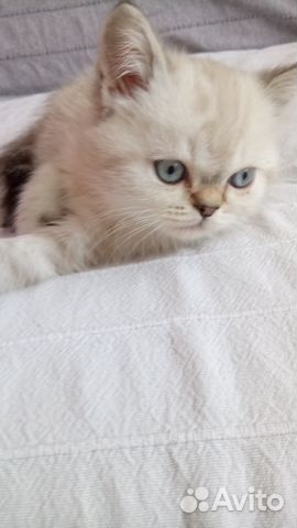 Девочка экзотка