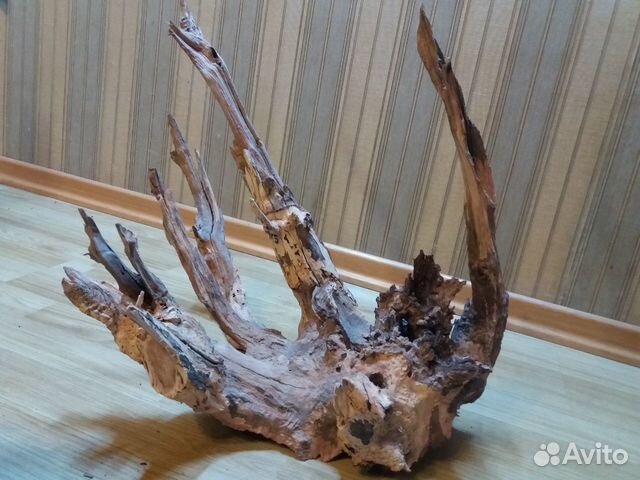 Коряги натуральные