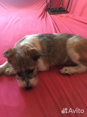 Крутой парень