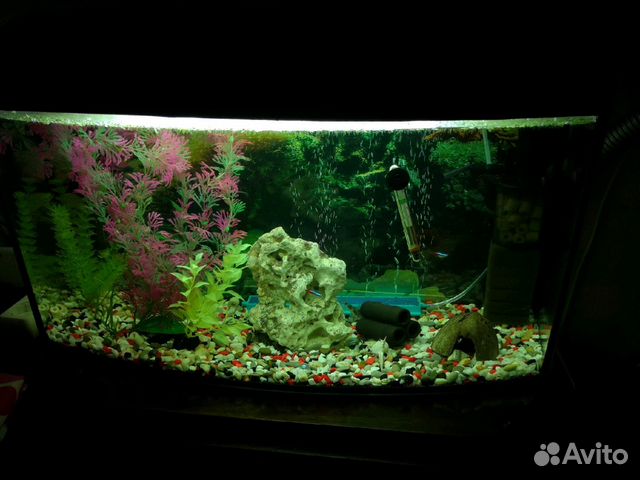 Аквариум на 70 литров