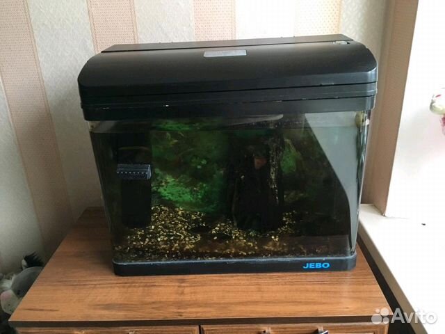 Аквариум 45 литров с тремя цехлидами за все 3000