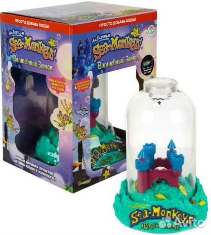 Sea monkey аквариум