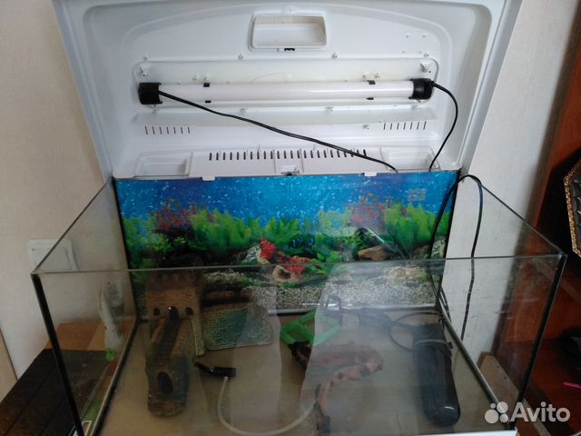 Аквариум