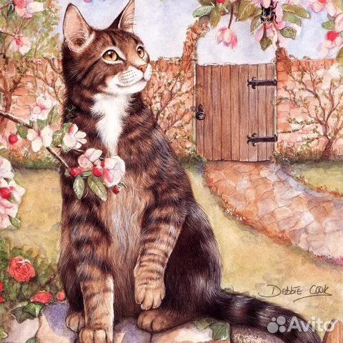 Отдам двух котов бесплатно