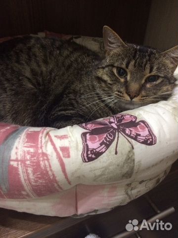 Митя ждёт свою маму