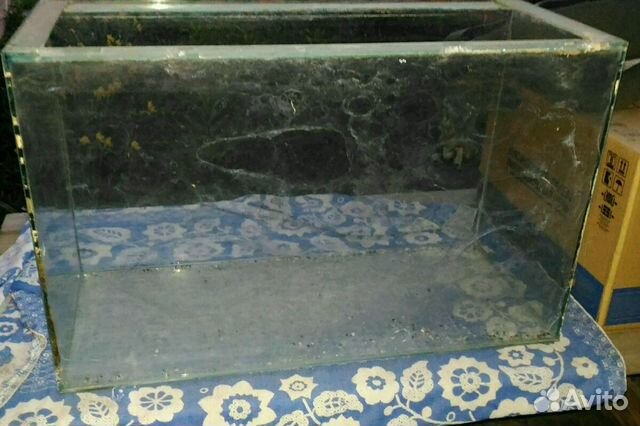 Аквариум /Террариум