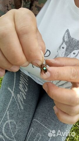 Пчеломатки