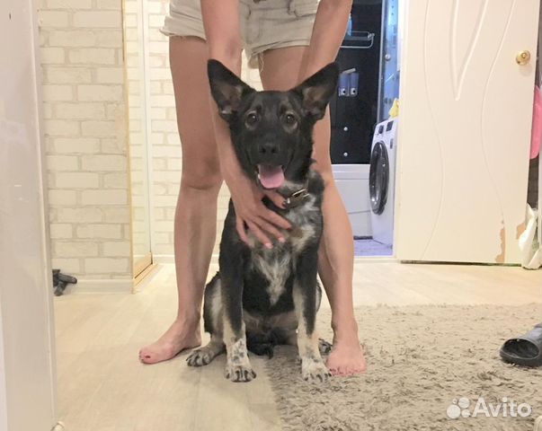 Малыш Эрик ищет семью