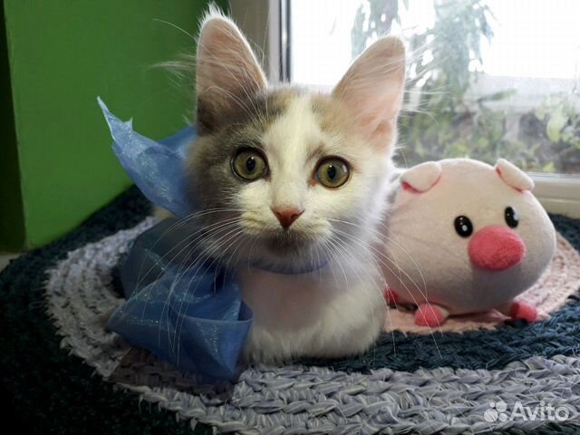 Нюшечка с тяжелой судьбой