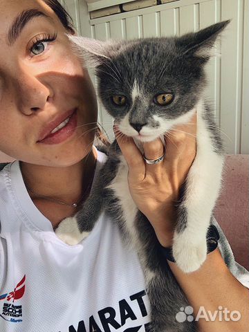 Котейки