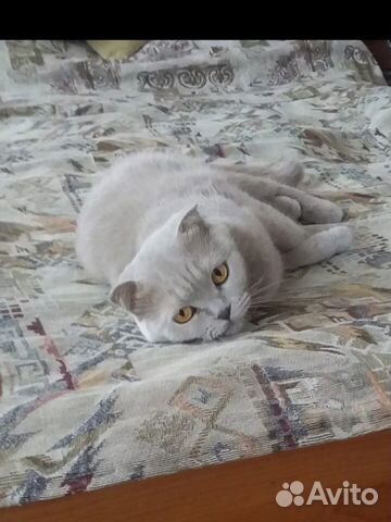Вязка