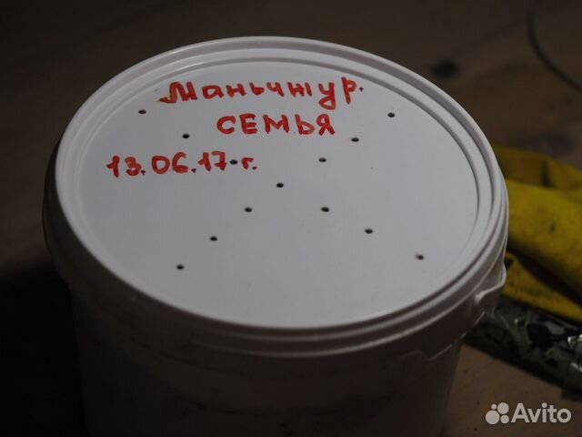 Компостные черви для переработки любой органики