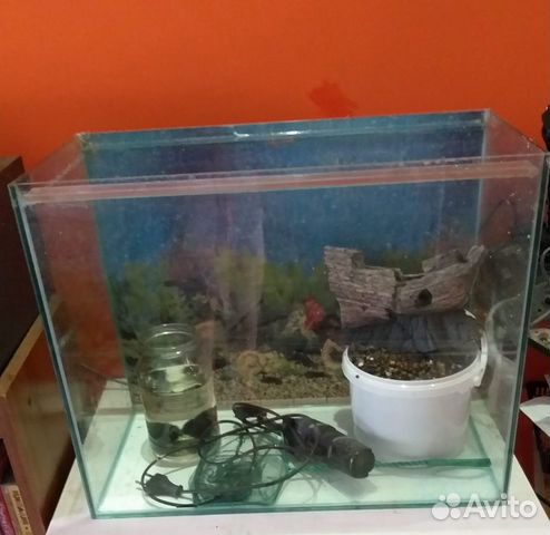Аквариум на 50 литров