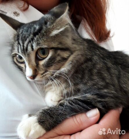 Лапушка- душенька