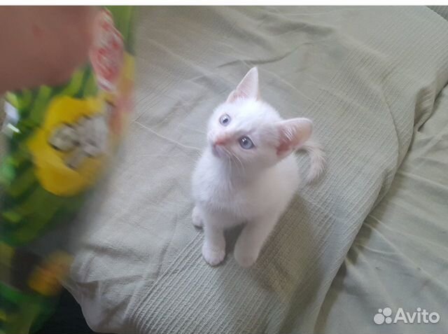 Беленький мальчик с голубыми глазками