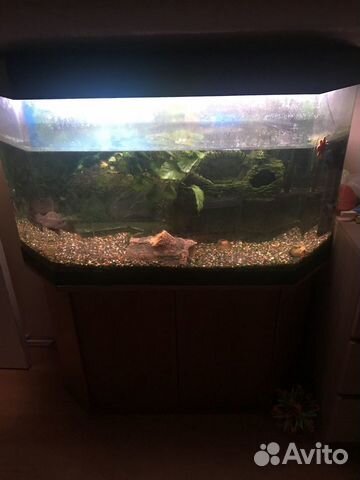 Аквариум