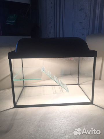 Черепашник