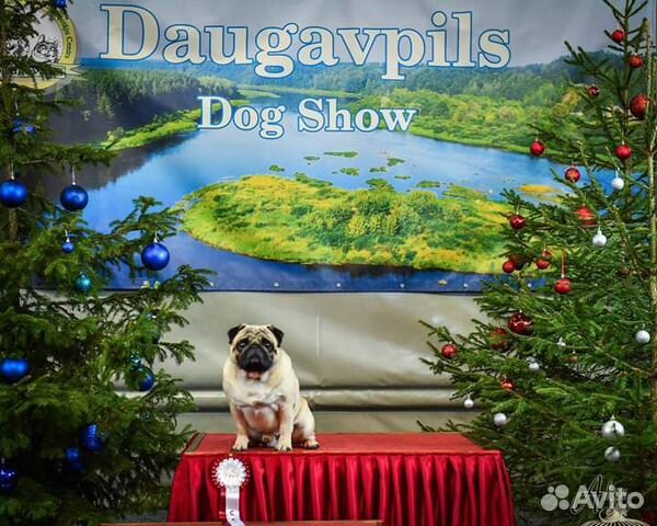 Парень приглашает на свидание