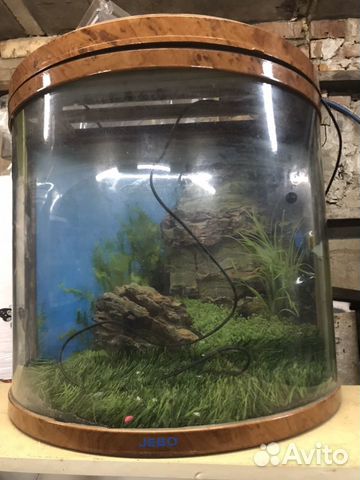 Аквариум jebo