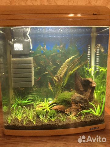 Панорамный аквариум на 35л