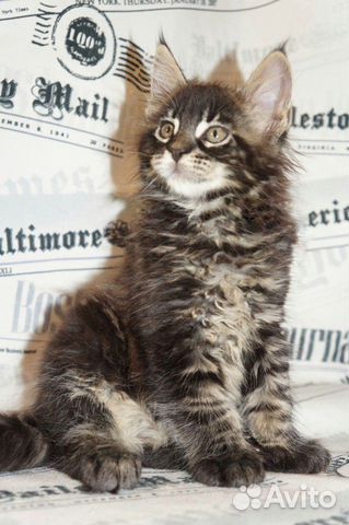 Чудо Чудное