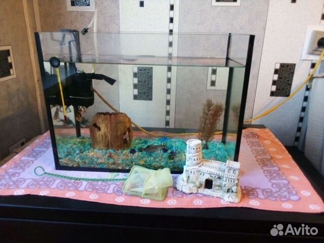 Аквариум с рыбками