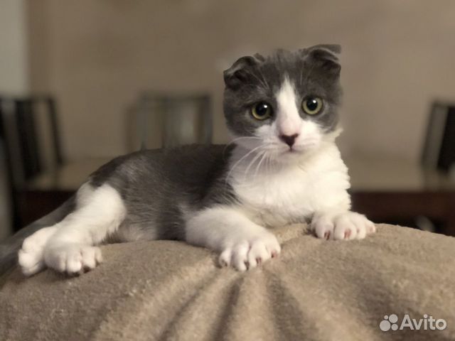 Особенный малыш хочет домой