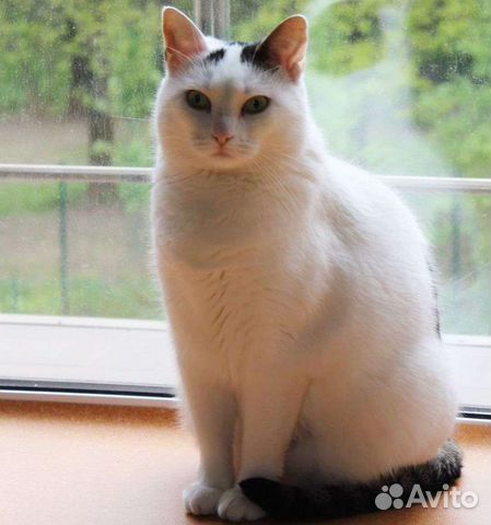 Её не выбирают