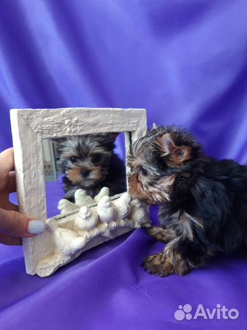 Мини куколка