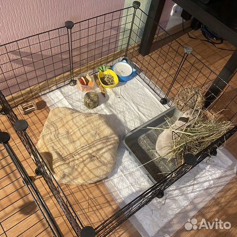 Кролик с клеткой