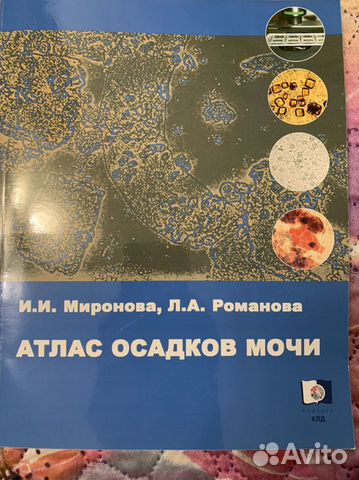 Атлас осадков мочи купить в Москве | Хобби и отдых | Авито