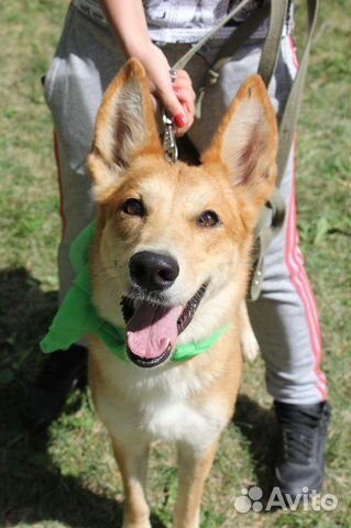 Солнечная и улыбчивая Лесли хочет домой