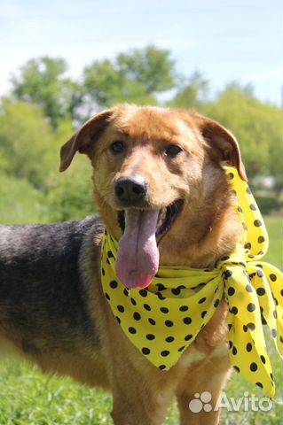 Баффи рада семье и людям