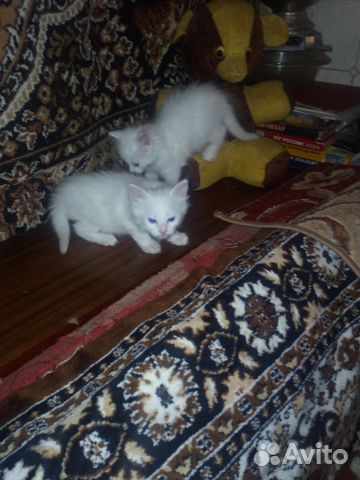 В хорошие руки