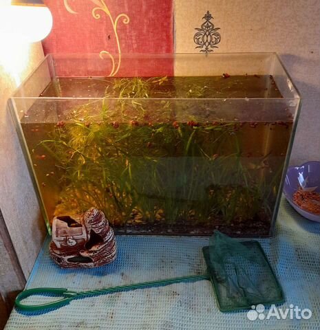 Аквариум