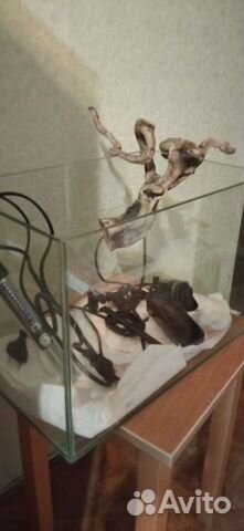 Аквариум, фильтр, нагреватель