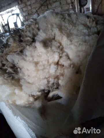 Шерсть овечья