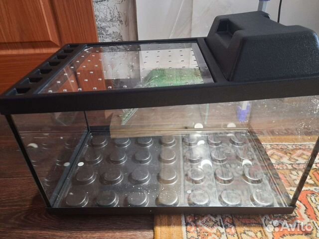 Аквариум террариум