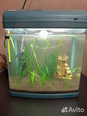 Аквариум