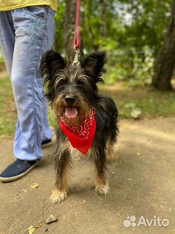 Маленький Кузя плачет в приюте