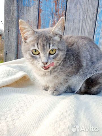 Малышка ищет дом