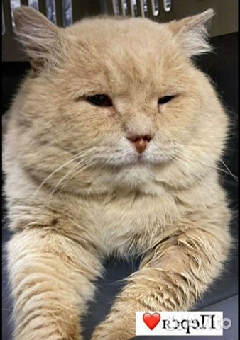 Ой как нужно домой